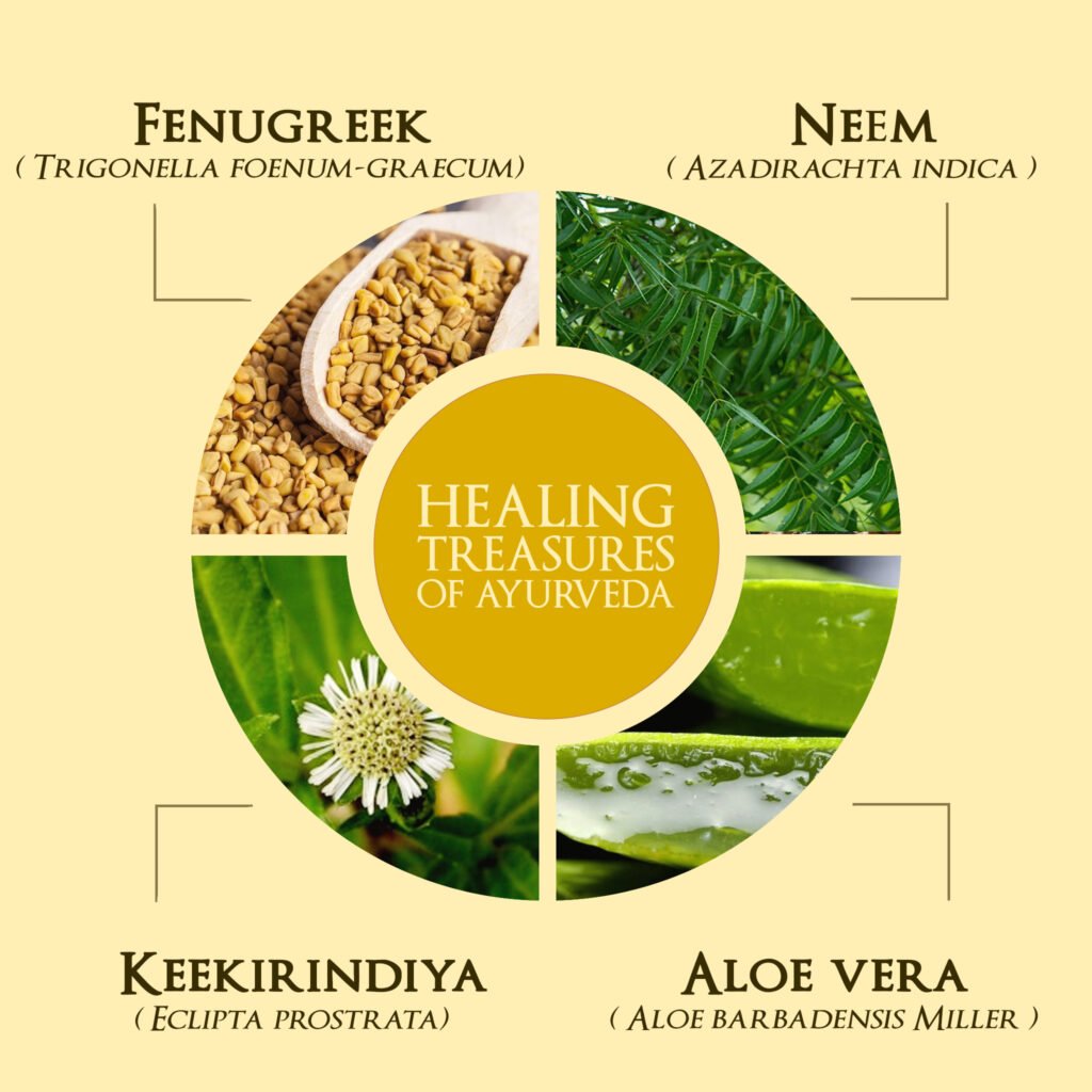 Biseka Herbal Shampoo - Biseka